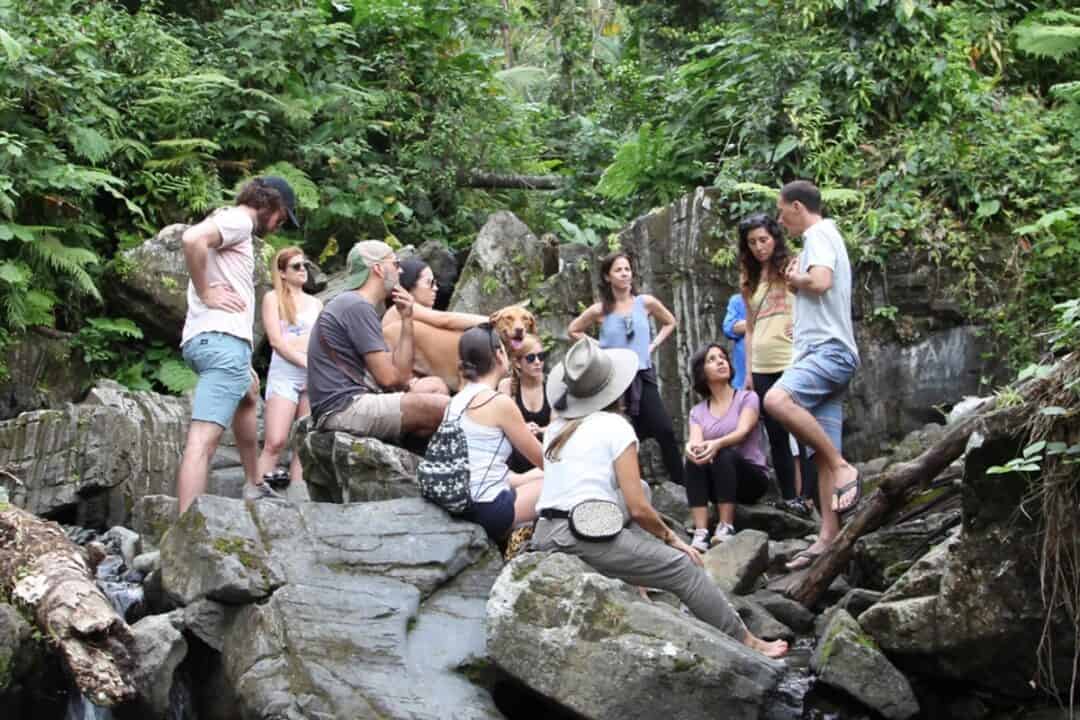 9 Best Wellness Retreats In Puerto Rico - Retreat Pundit