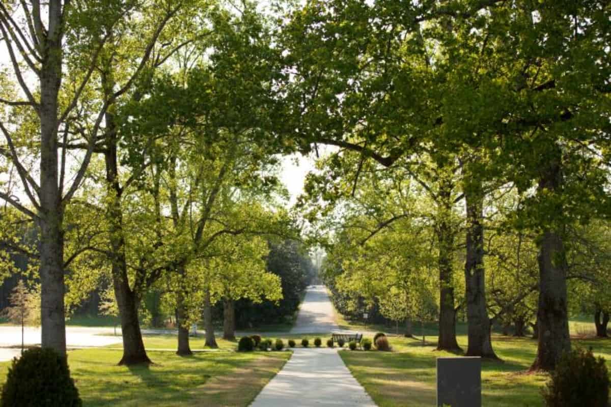 7 Best Wellness Retreats In Georgia - Retreat Pundit